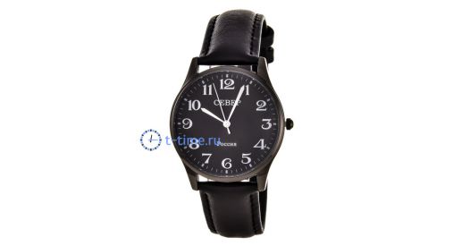 Часы Север A2035-005-445